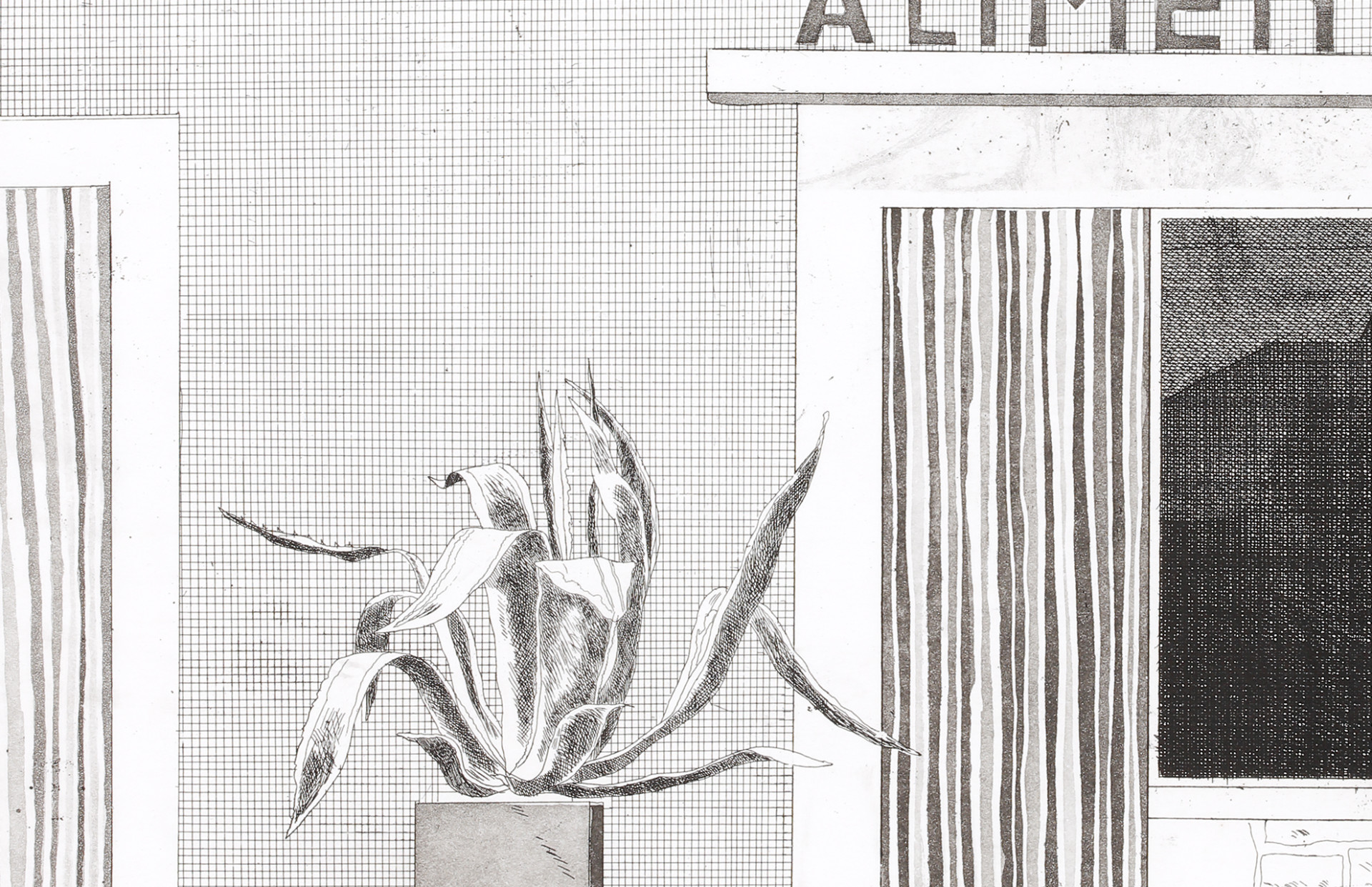 David Hockney Line Drawings